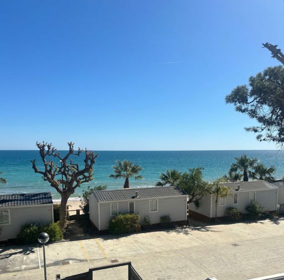 Alannia Resorts | Official Website