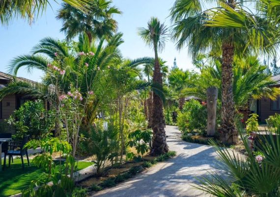 Alannia Resorts | Official Website